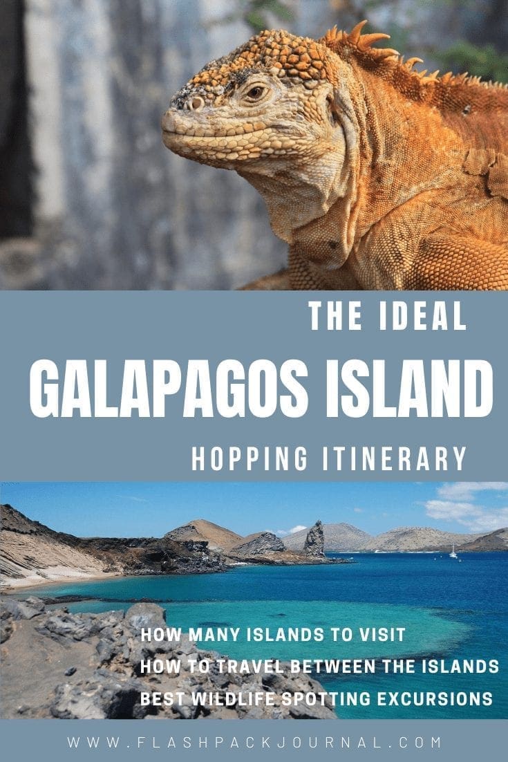 Galapagos Island Hopping - The Ultimate Land Based Galapagos Itinerary ...