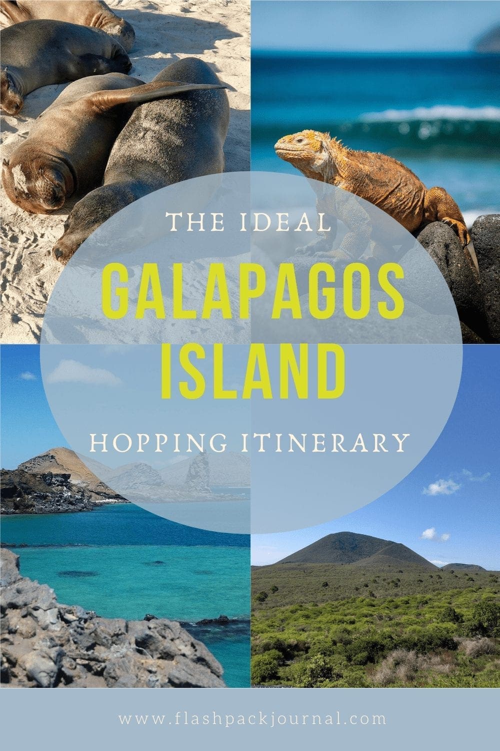 Galapagos Island Hopping - The Ultimate Land Based Galapagos Itinerary ...